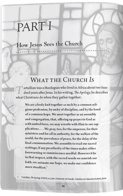 Gathered by Christ: The Overlooked Gift of Church | Christa Petzold